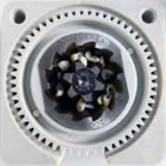 Home - Tooth Transformer system