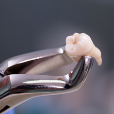 Accueil - Système de transformateur de dents